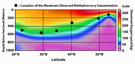 Ocean mercury on the rise | EVISA's News